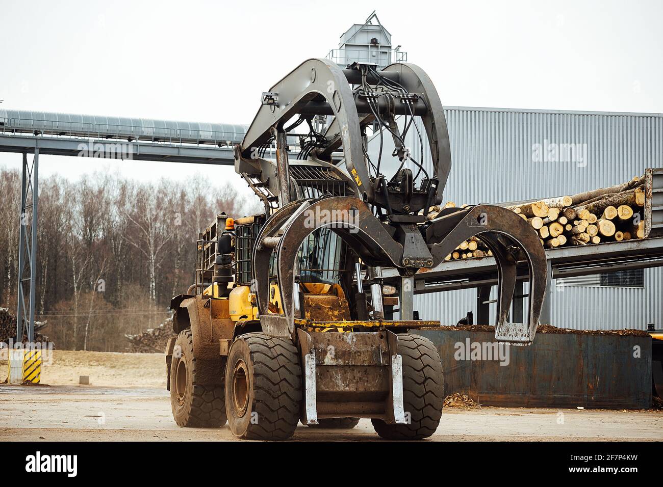 front loader for loading timber. an industrial tractor transports ...