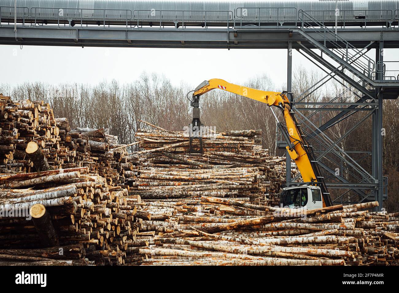 the front loader works in a wood processing plant. industrial excavator ...