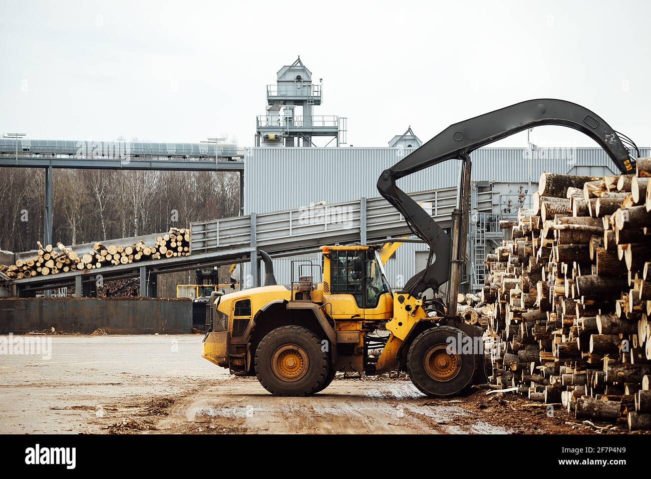 front loader for loading timber. an industrial tractor transports ...