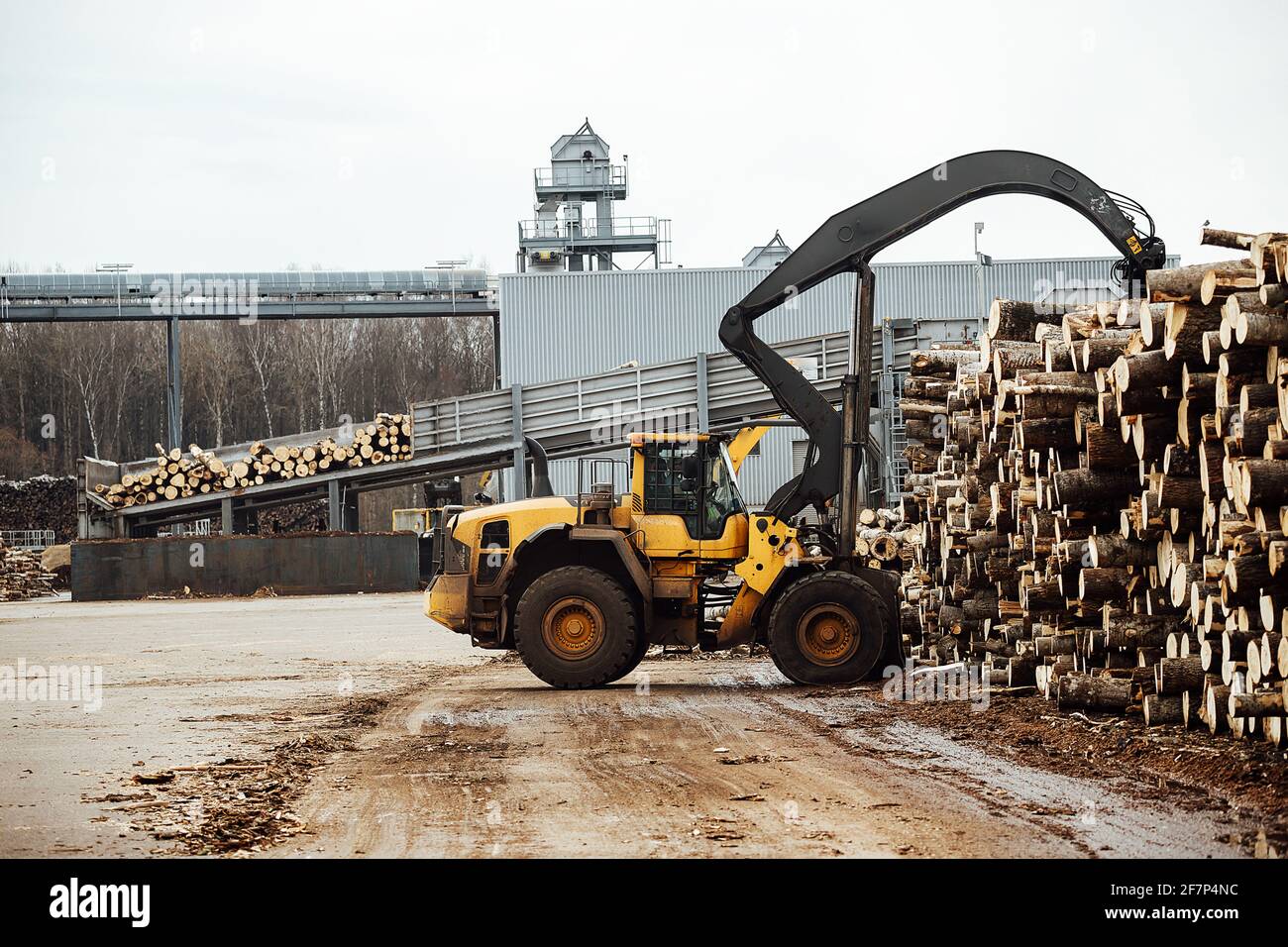 front loader for loading timber. an industrial tractor transports ...