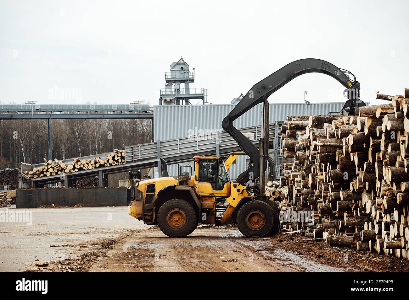 front loader for loading timber. an industrial tractor transports ...