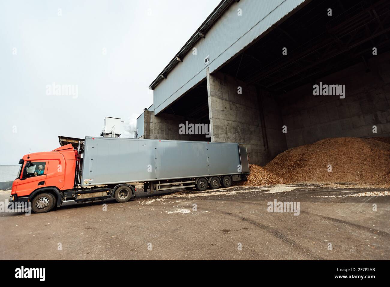 the truck unloads tons of wood waste. sawdust and shavings are stored ...