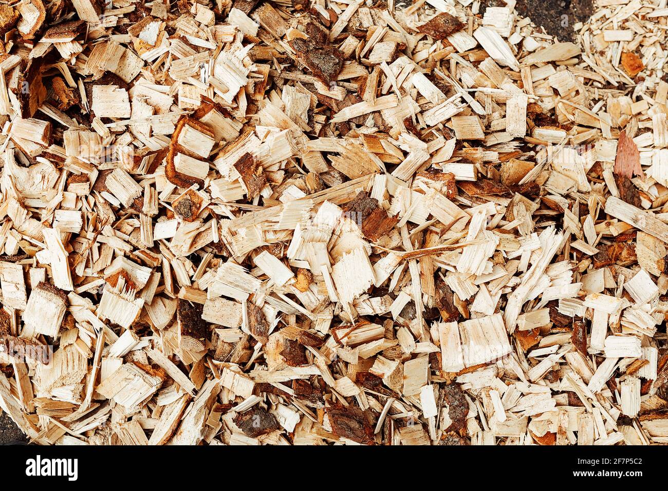 the texture of sawdust. production waste in woodworking. macro photo of ...