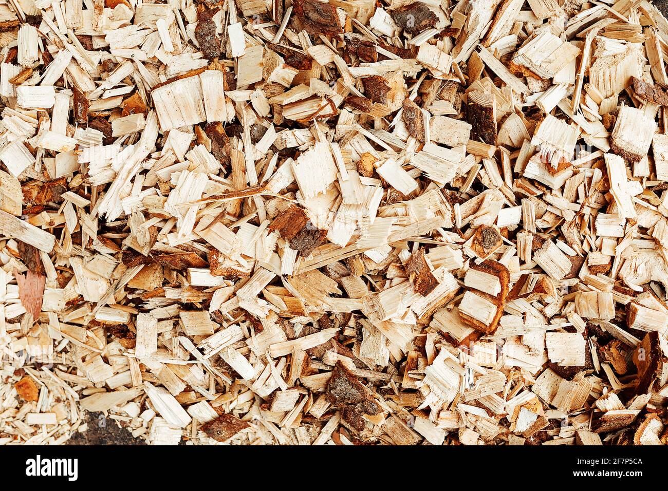 the texture of sawdust. production waste in woodworking. macro photo of ...