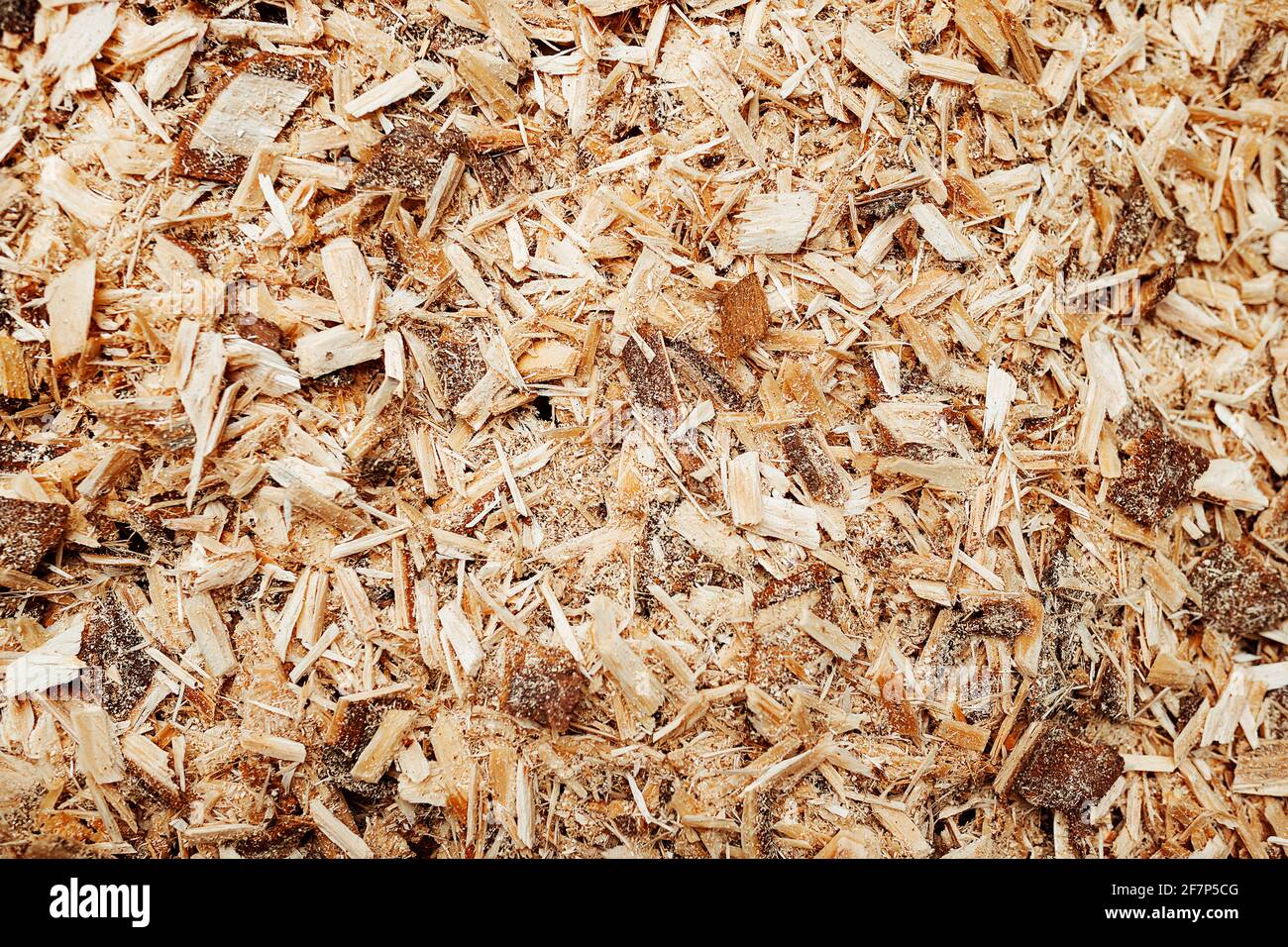 the texture of sawdust. production waste in woodworking. macro photo of ...