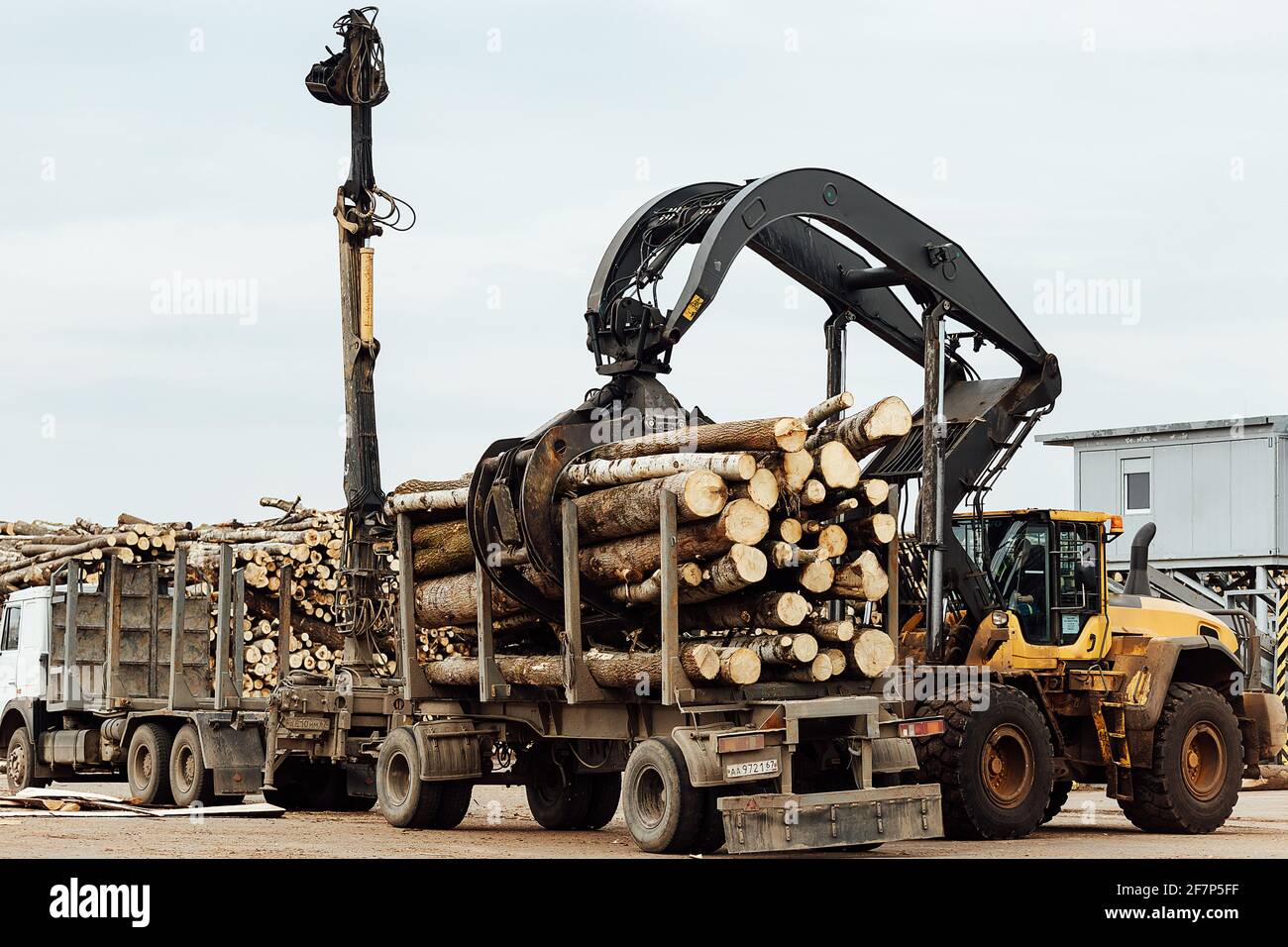 the front loader works in a wood processing plant. industrial excavator ...