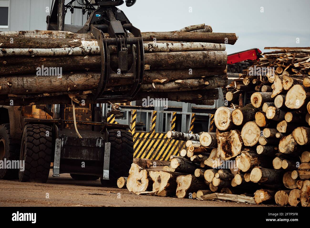 a truck with tree trunks. cargo transportation at a wood processing ...
