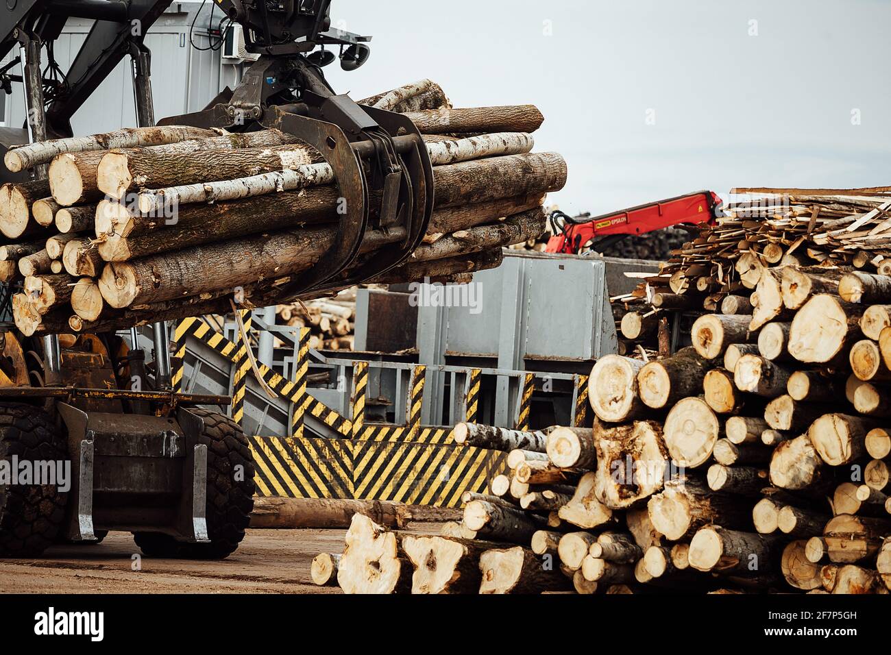 a truck with tree trunks. cargo transportation at a wood processing ...