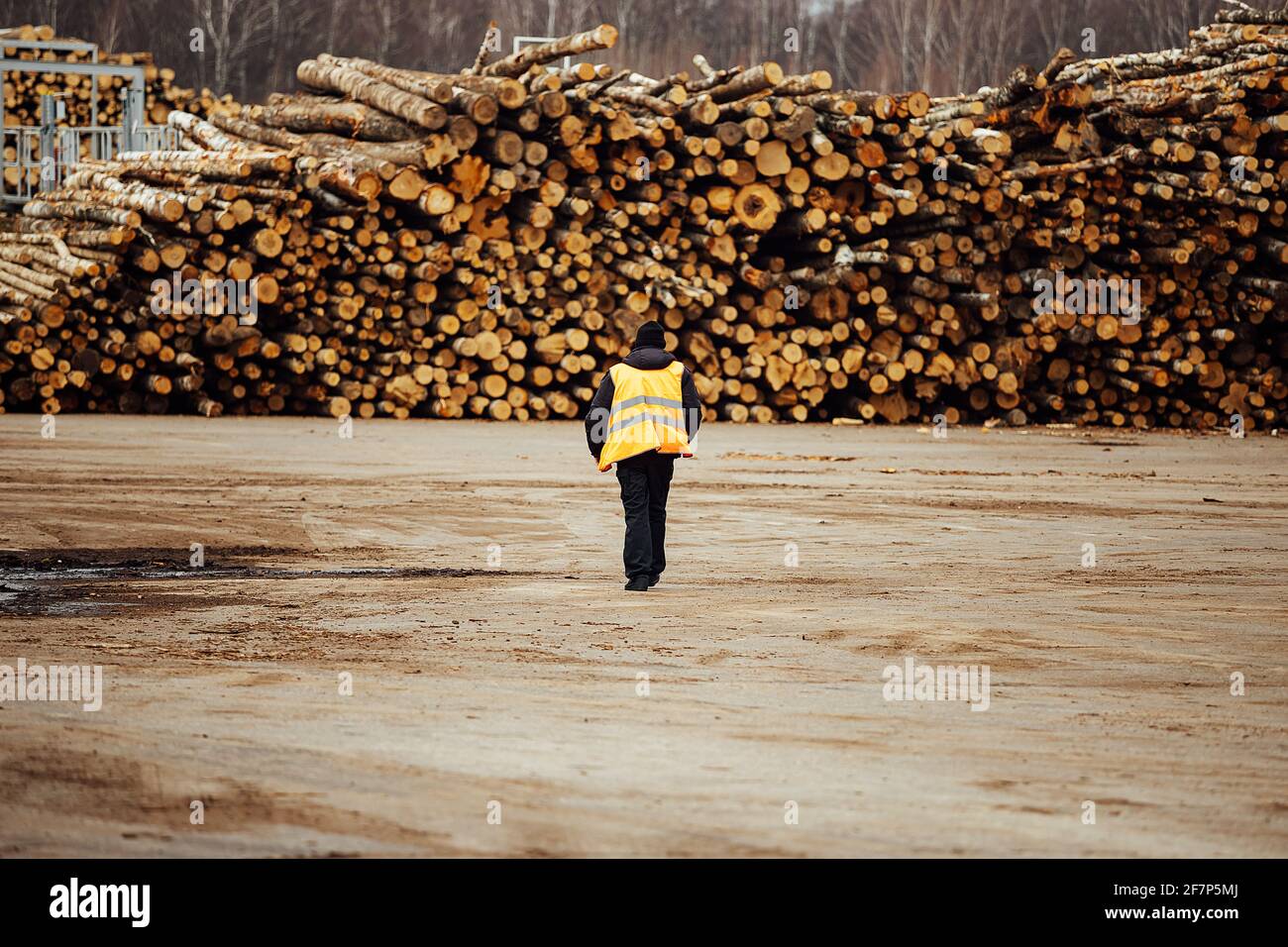 a worker in overalls stands with his back to the wood warehouse. a lot ...
