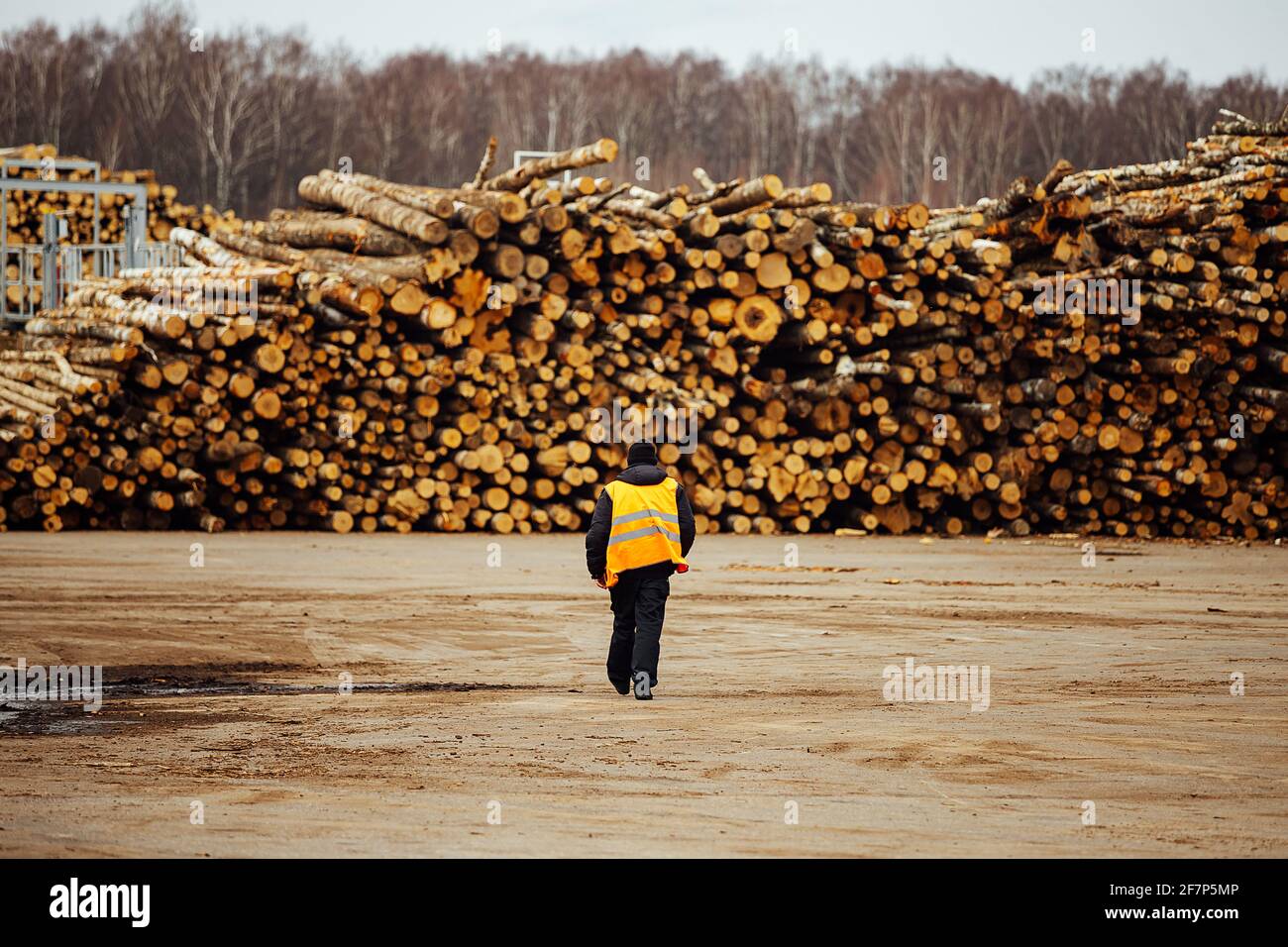 a worker in overalls stands with his back to the wood warehouse. a lot ...