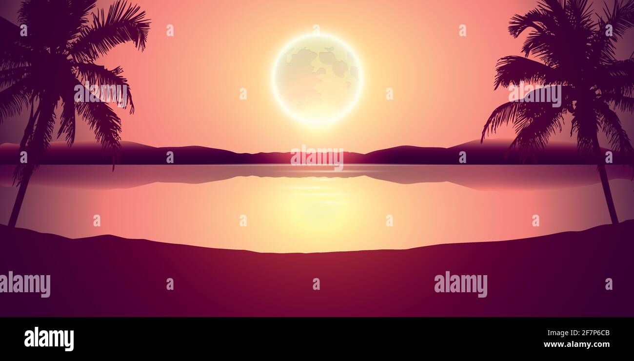 Palm trees moon night Stock Vector Images - Alamy