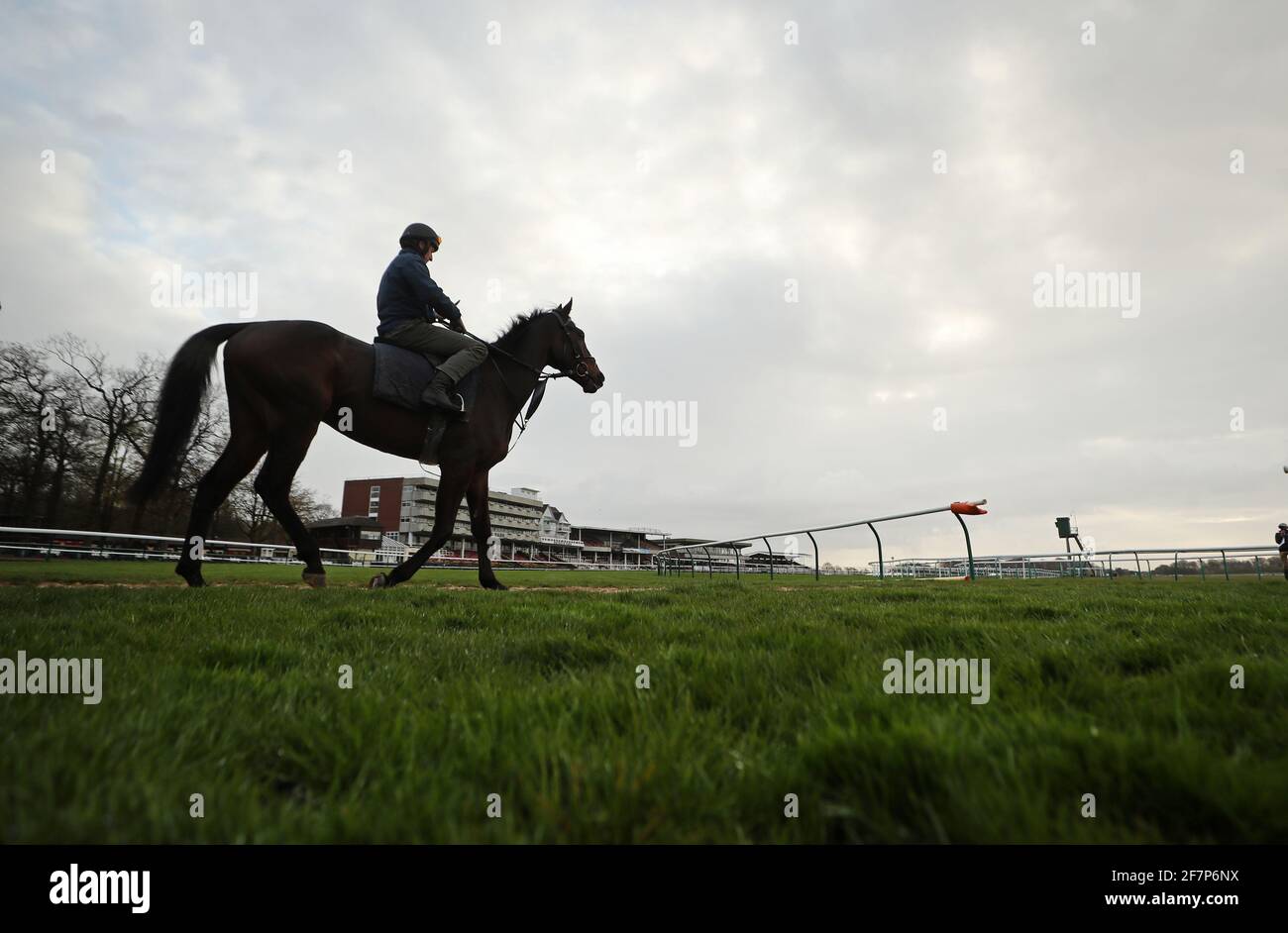 Horses on the gallops at Haydock Racecourse ahead of Ladies Day of the ...