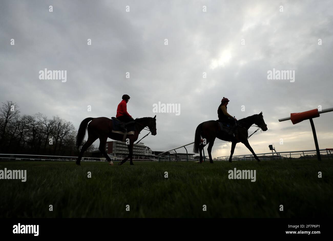 Horses on the gallops at Haydock Racecourse ahead of Ladies Day of the ...