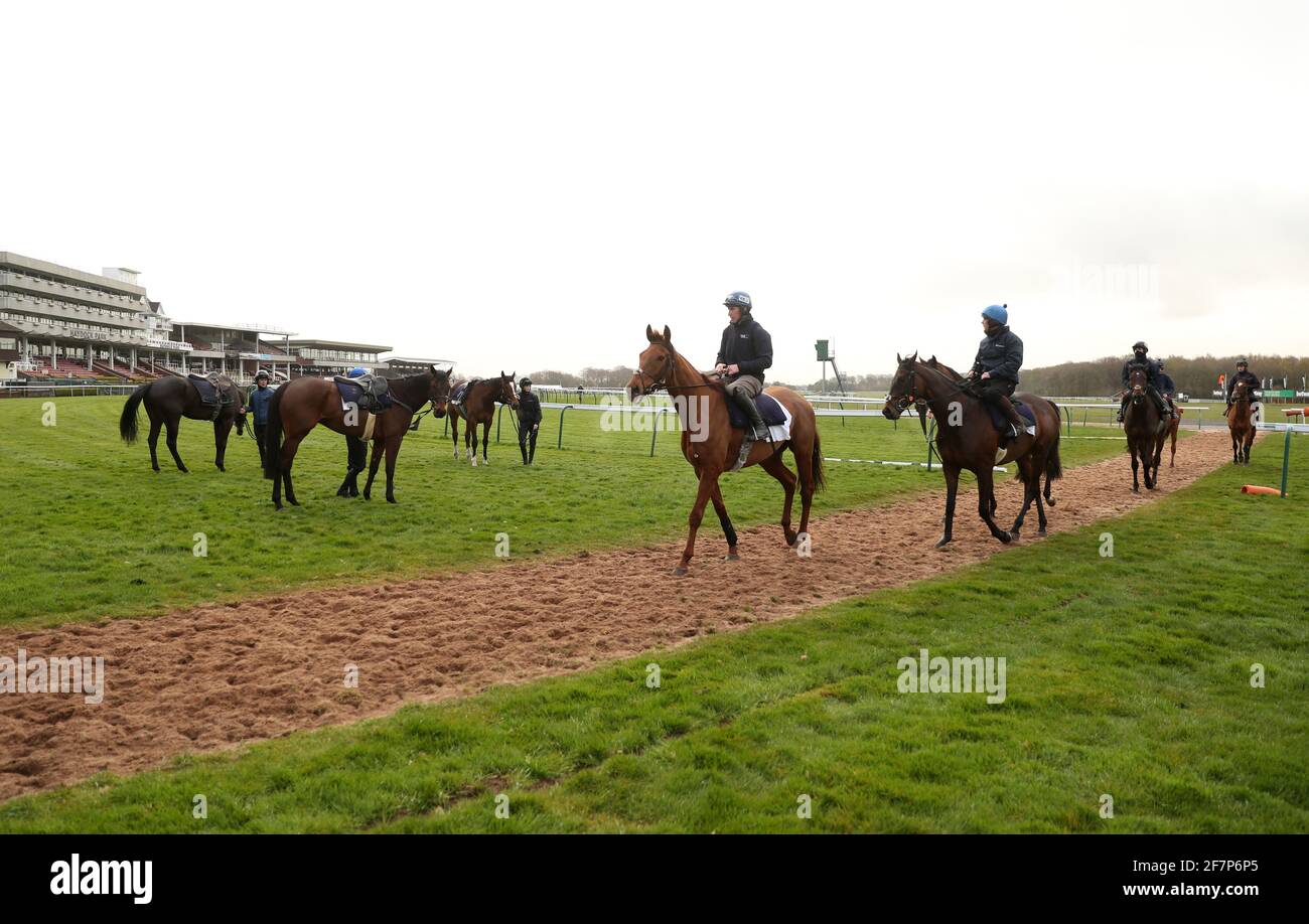 Ladies national trainer hi-res stock photography and images - Alamy