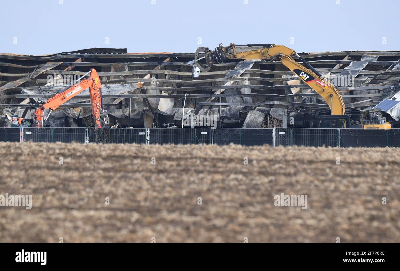 Alt Tellin, Germany. 09th Apr, 2021. A specialist company uses ...