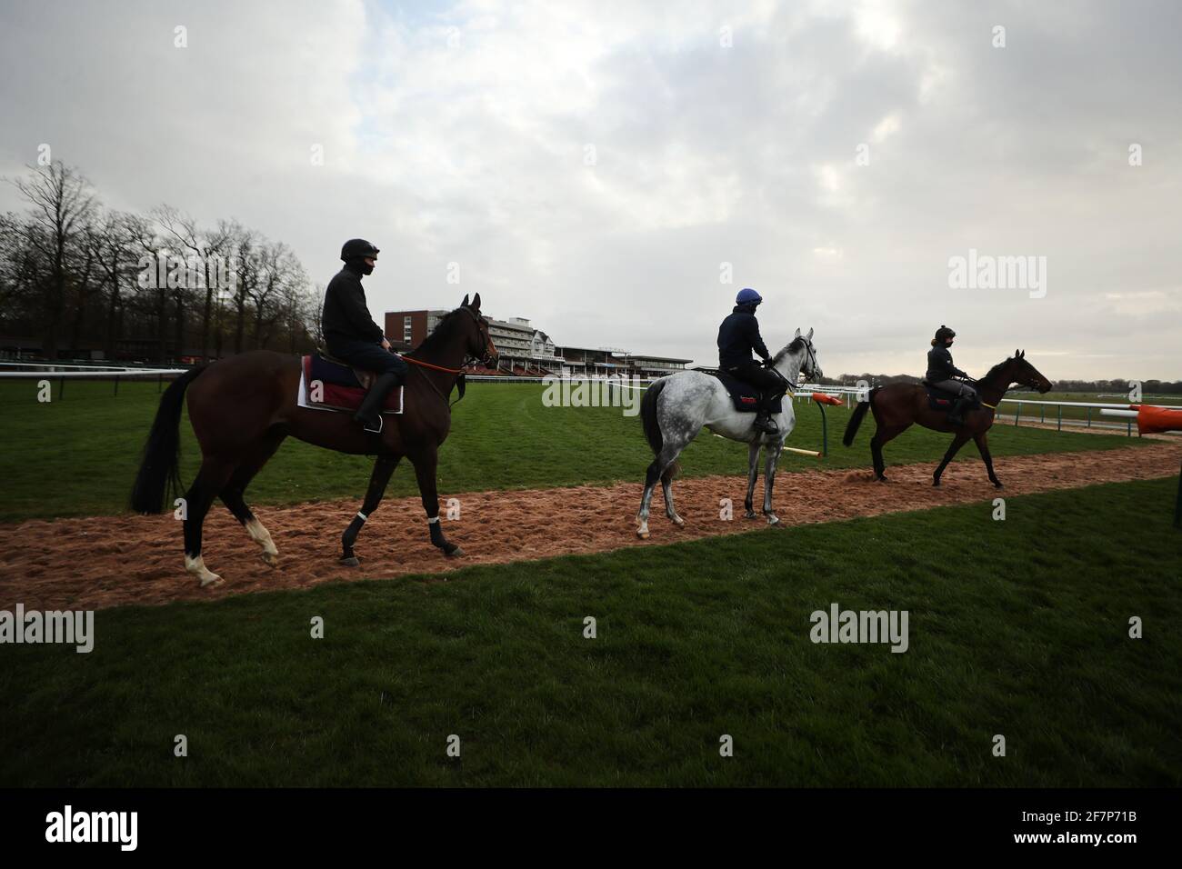 Horses from trainer Noel Meade's stables on the gallops at Haydock ...