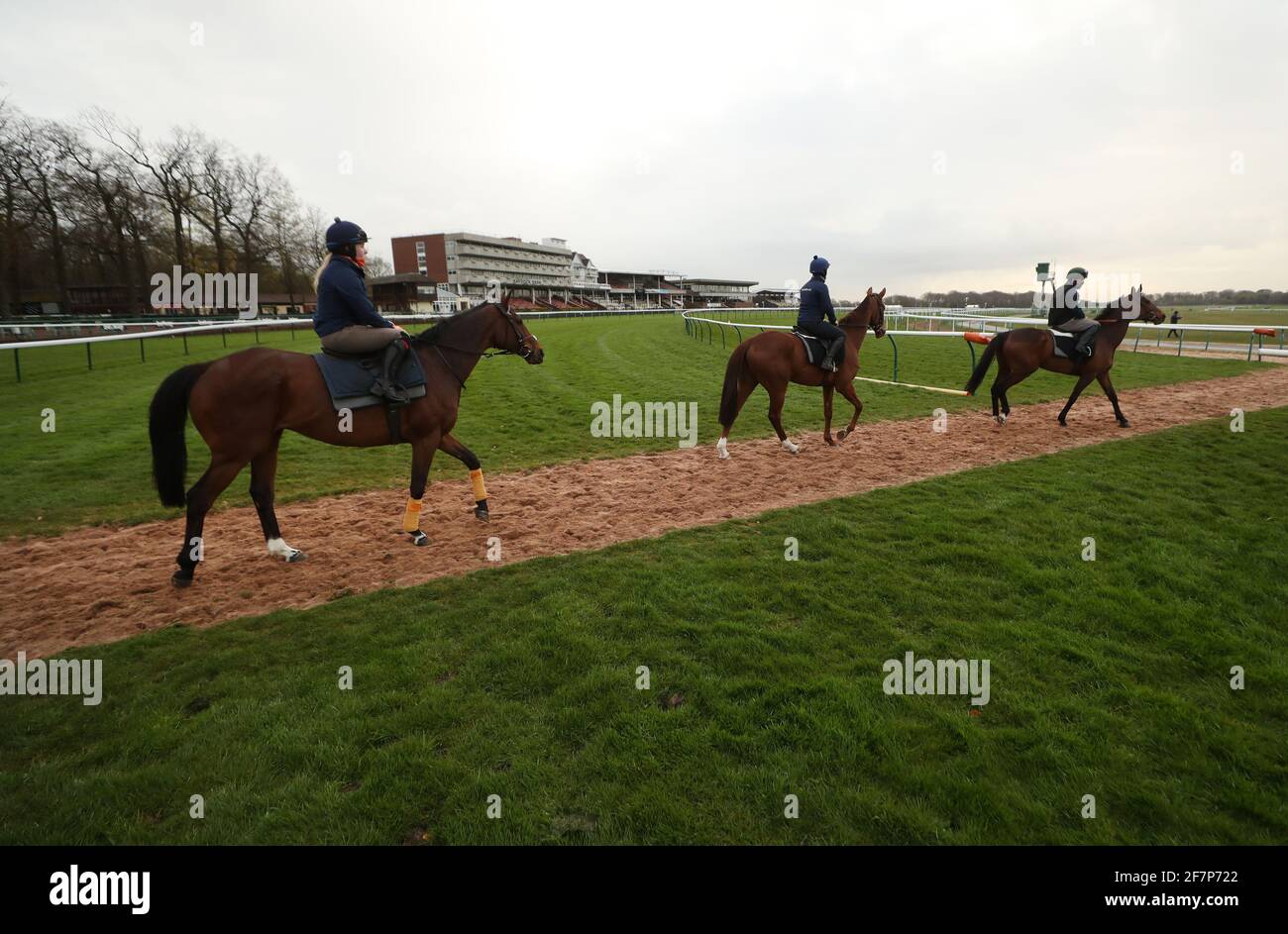 Horse racing haydock stables hi-res stock photography and images - Alamy