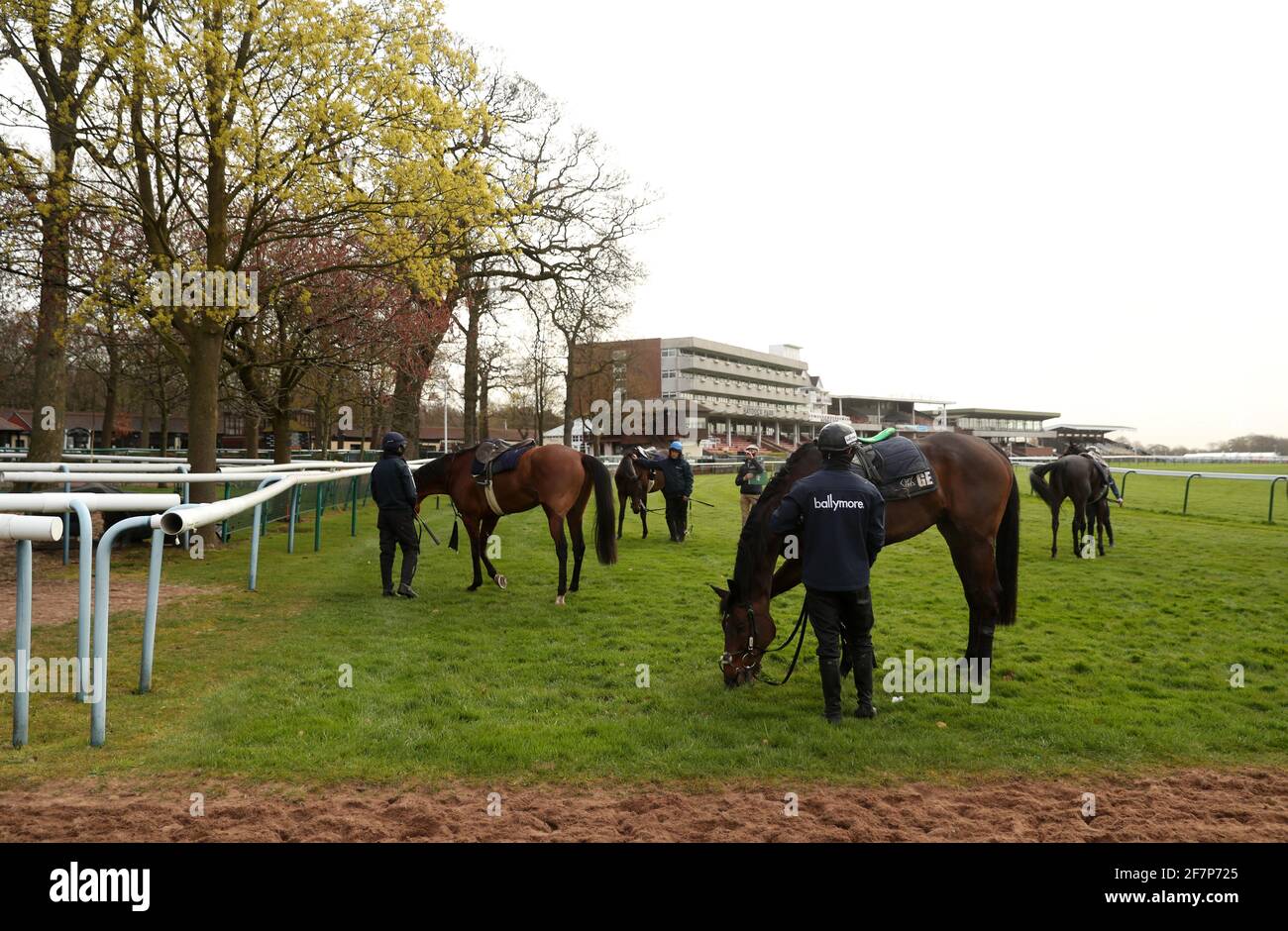Ladies national trainer hi-res stock photography and images - Alamy