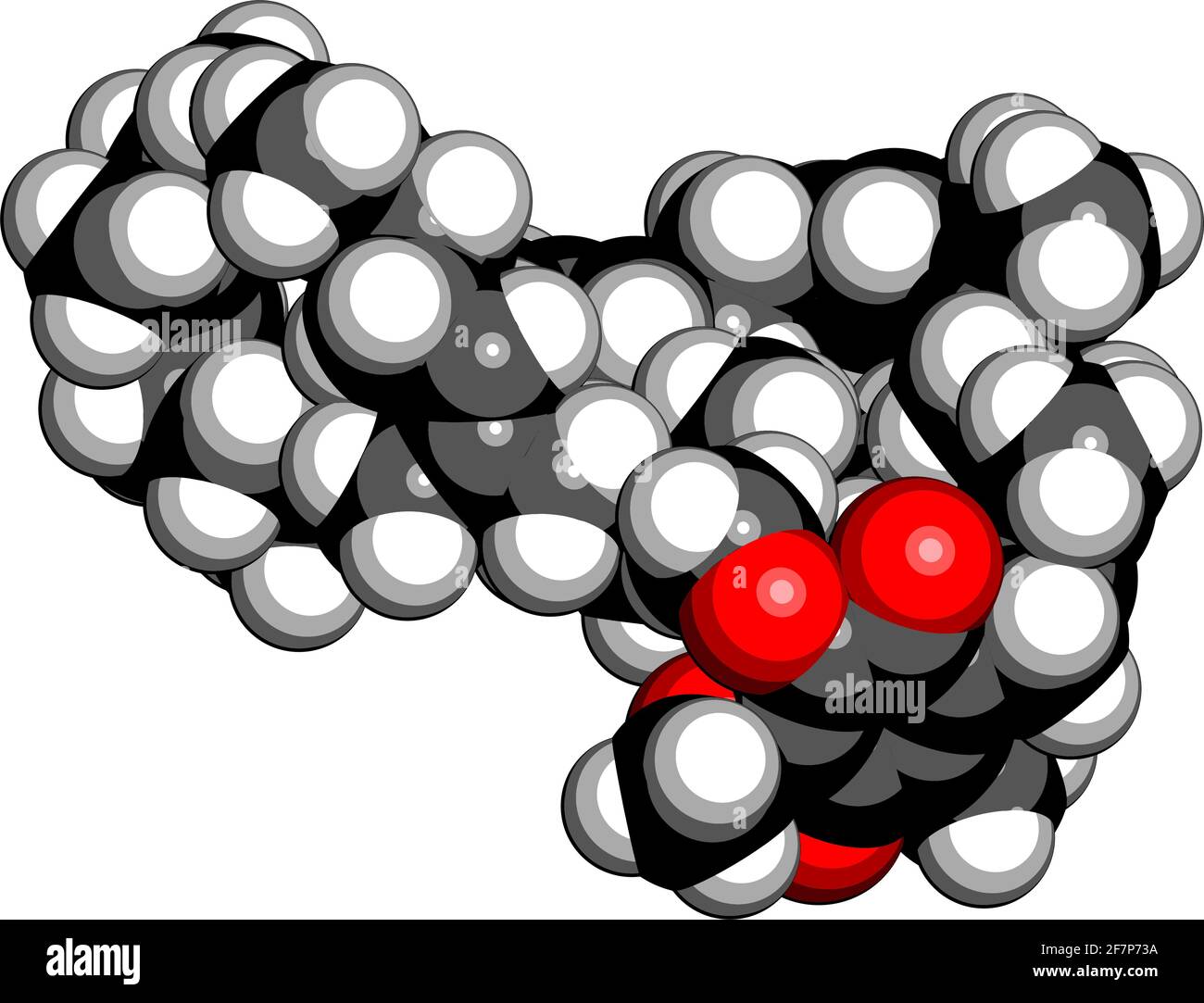 Coenzyme Q10 (ubiquinone, ubidecarenone, CoQ10) molecule, chemical ...