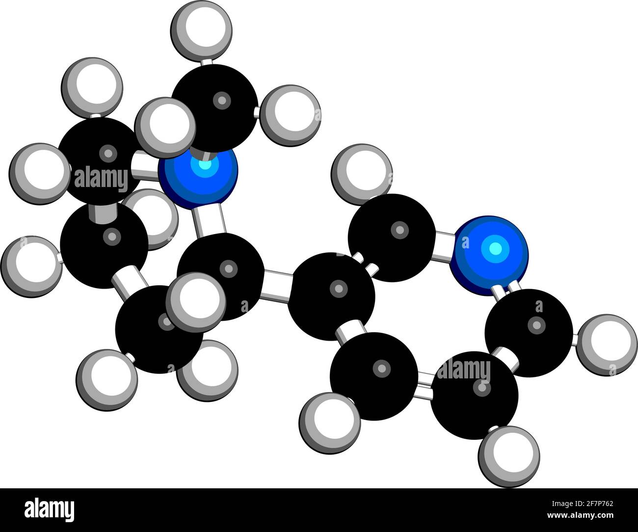 Nicotine 3d molecular model Stock Vector Images - Alamy