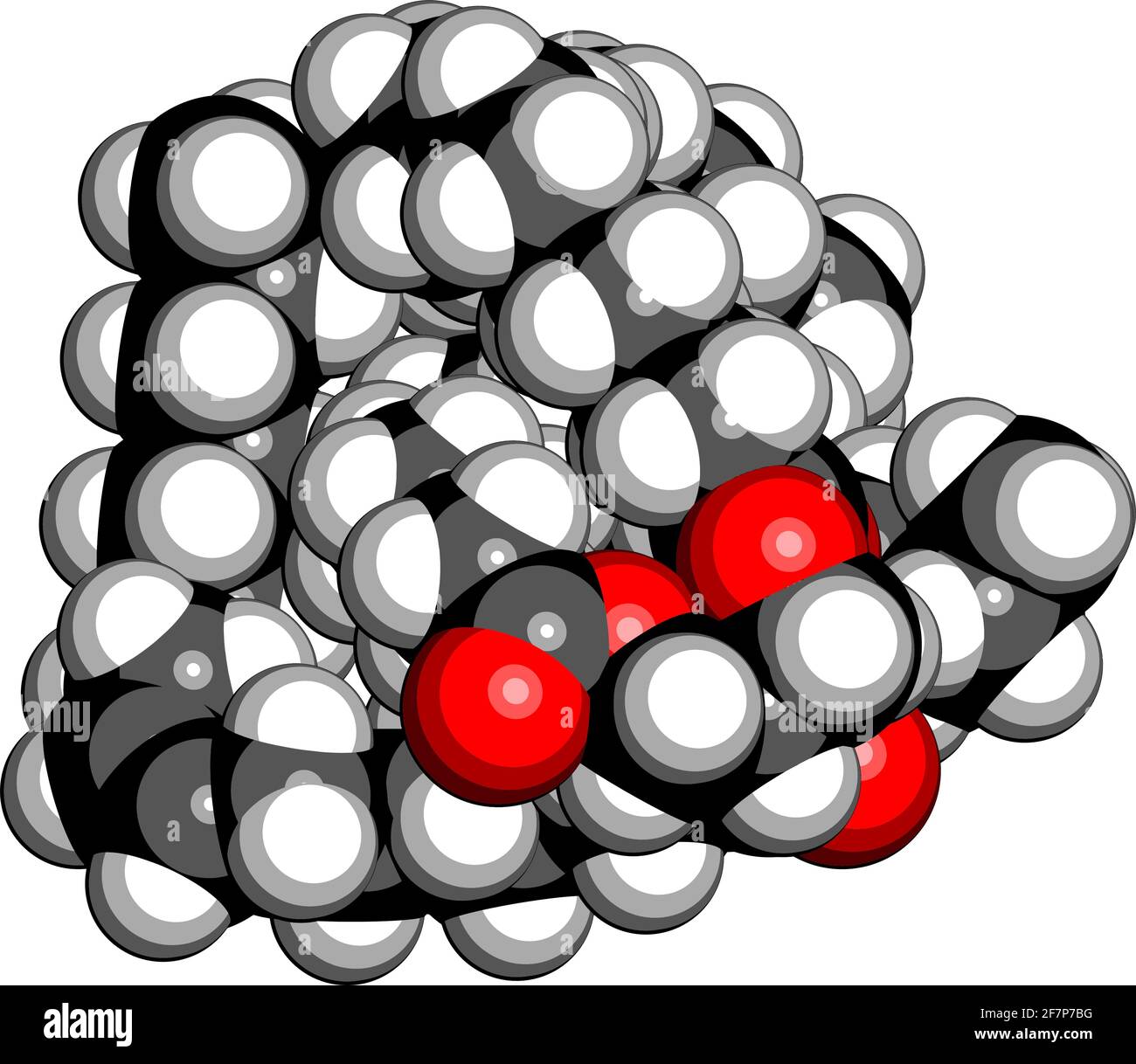 Triglyceride High Resolution Stock Photography and Images - Alamy