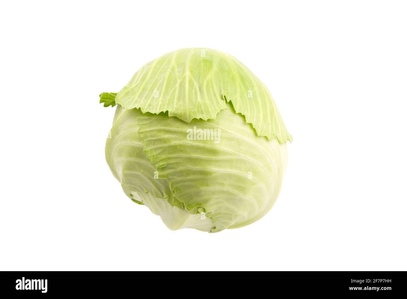 White cabbage head isolated on white background. Ingredient for ...