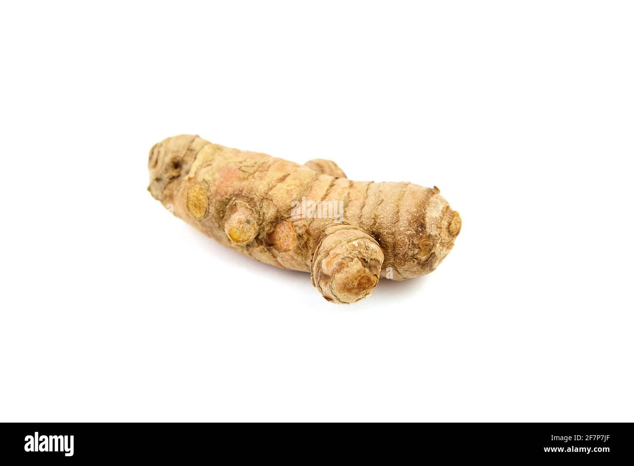 Curcuma root isolated on white background. Turmeric rhizome. Oriental ...