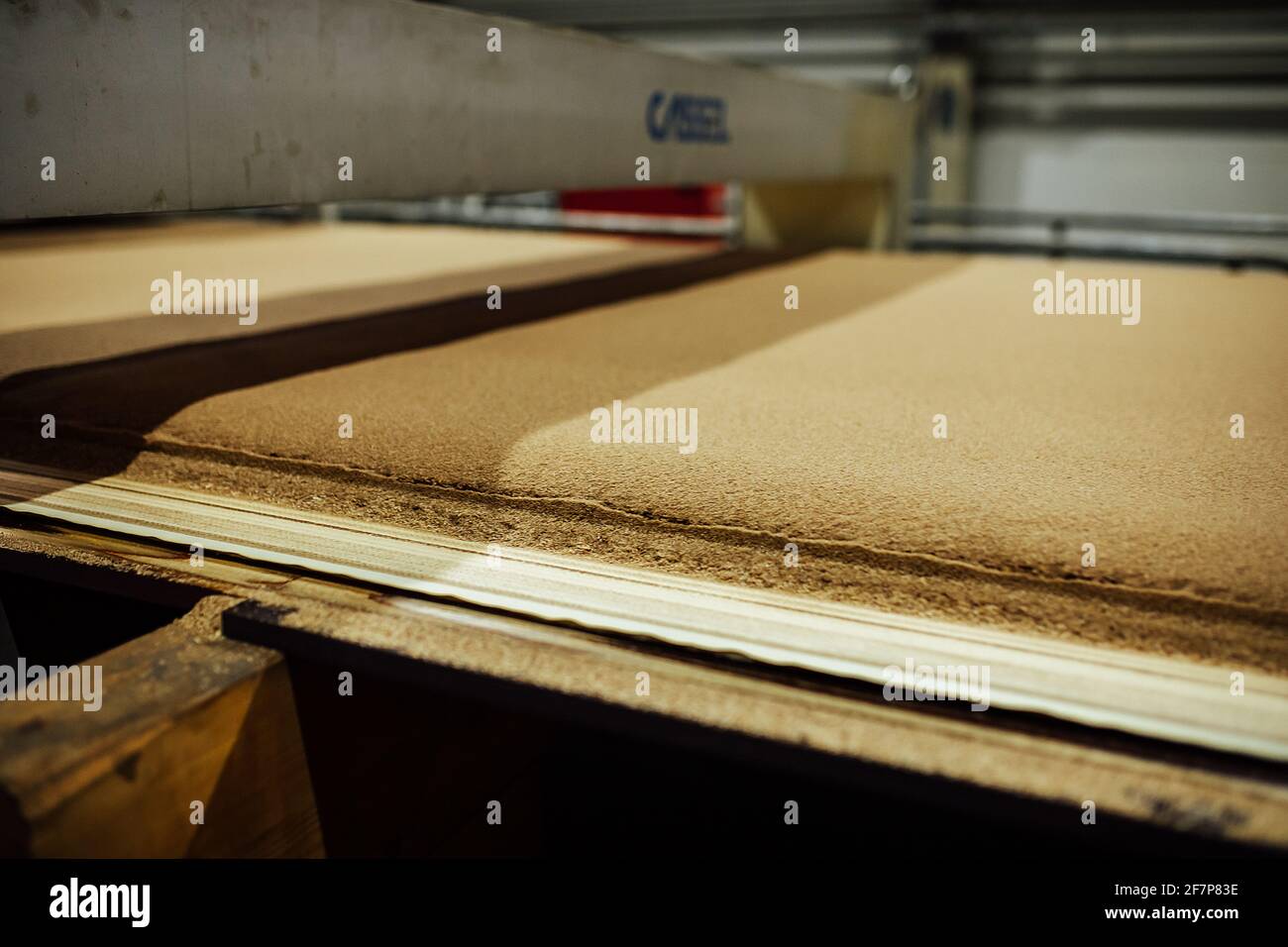 sawdust conveyor. the wood processing plant transports wood chips on a ...