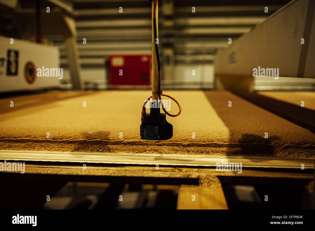 sawdust conveyor. the wood processing plant transports wood chips on a ...