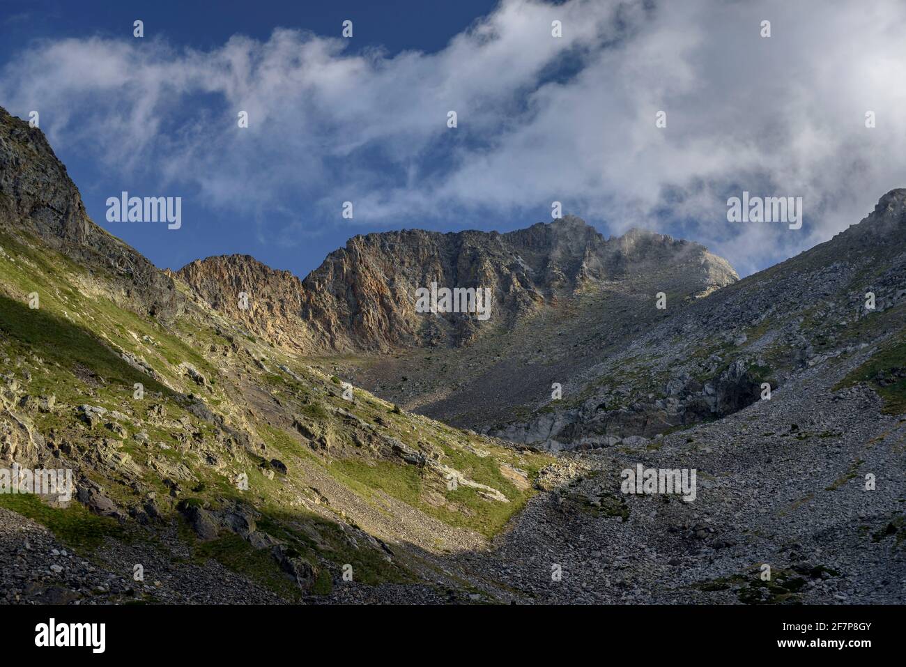 Canigou (Canigó) peak seen from Plans de Cadí in summer (Pyrénées ...