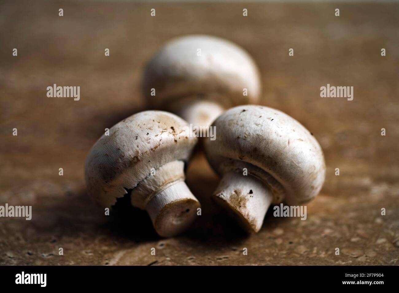 Edible textures hi-res stock photography and images - Alamy