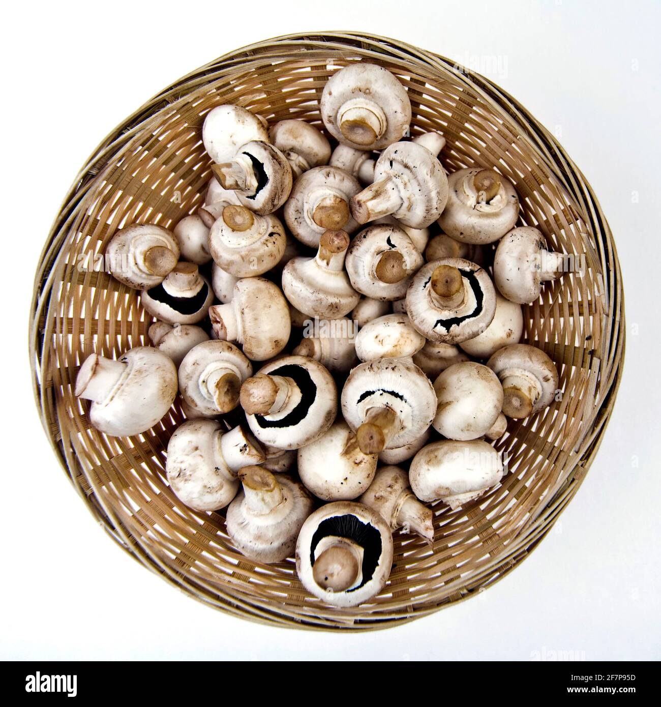 champingnons in a basket Stock Photo - Alamy