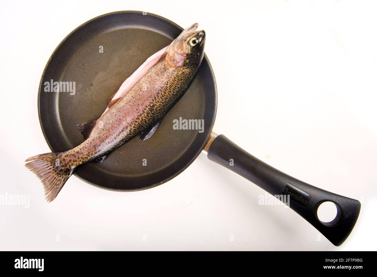 Trout fry hi-res stock photography and images - Alamy