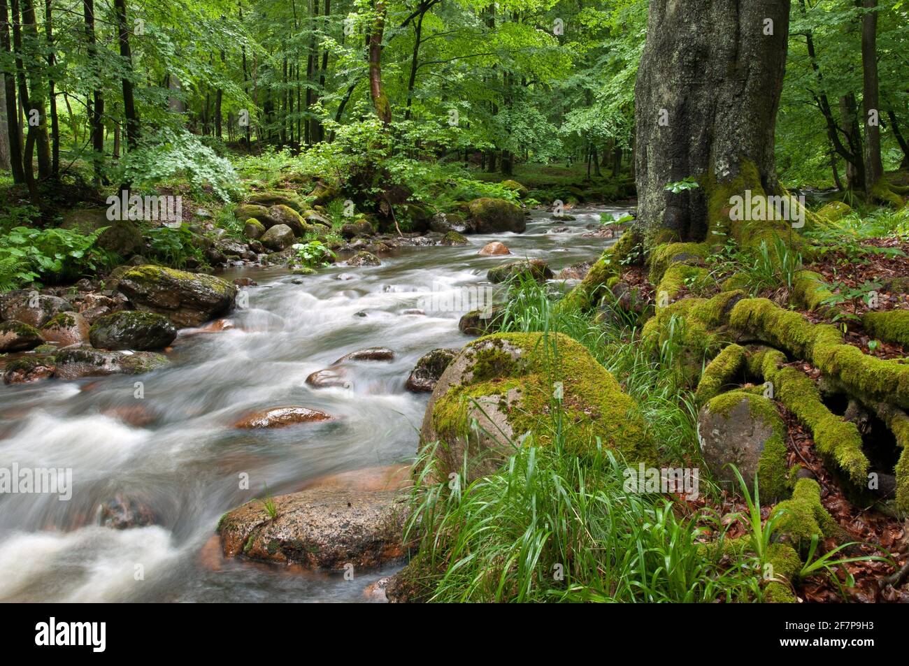 Source river hi-res stock photography and images - Alamy