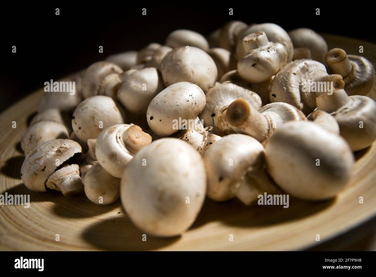 Gill plate hi-res stock photography and images - Alamy