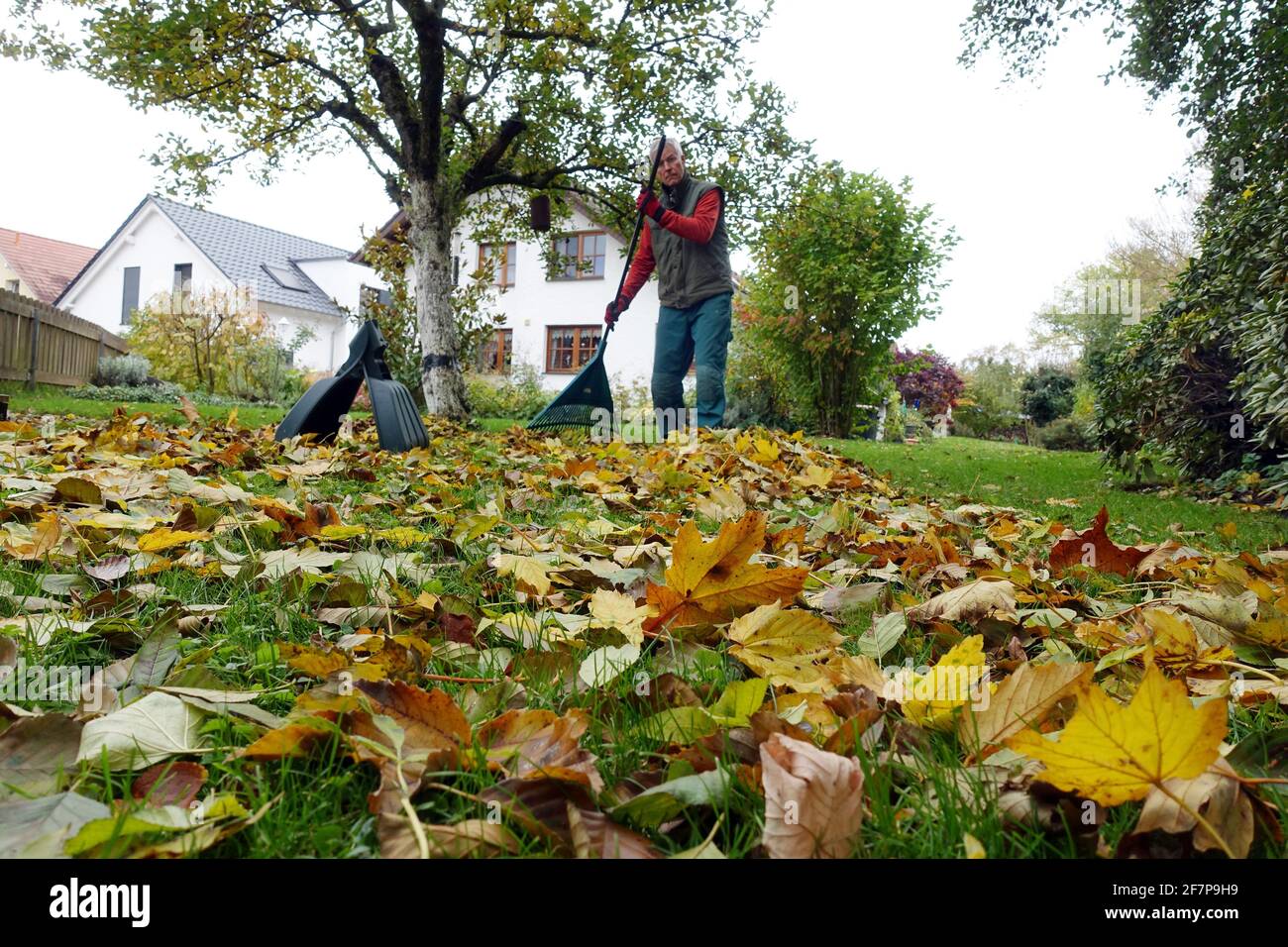 Sweeping autumn leaves hi-res stock photography and images - Alamy