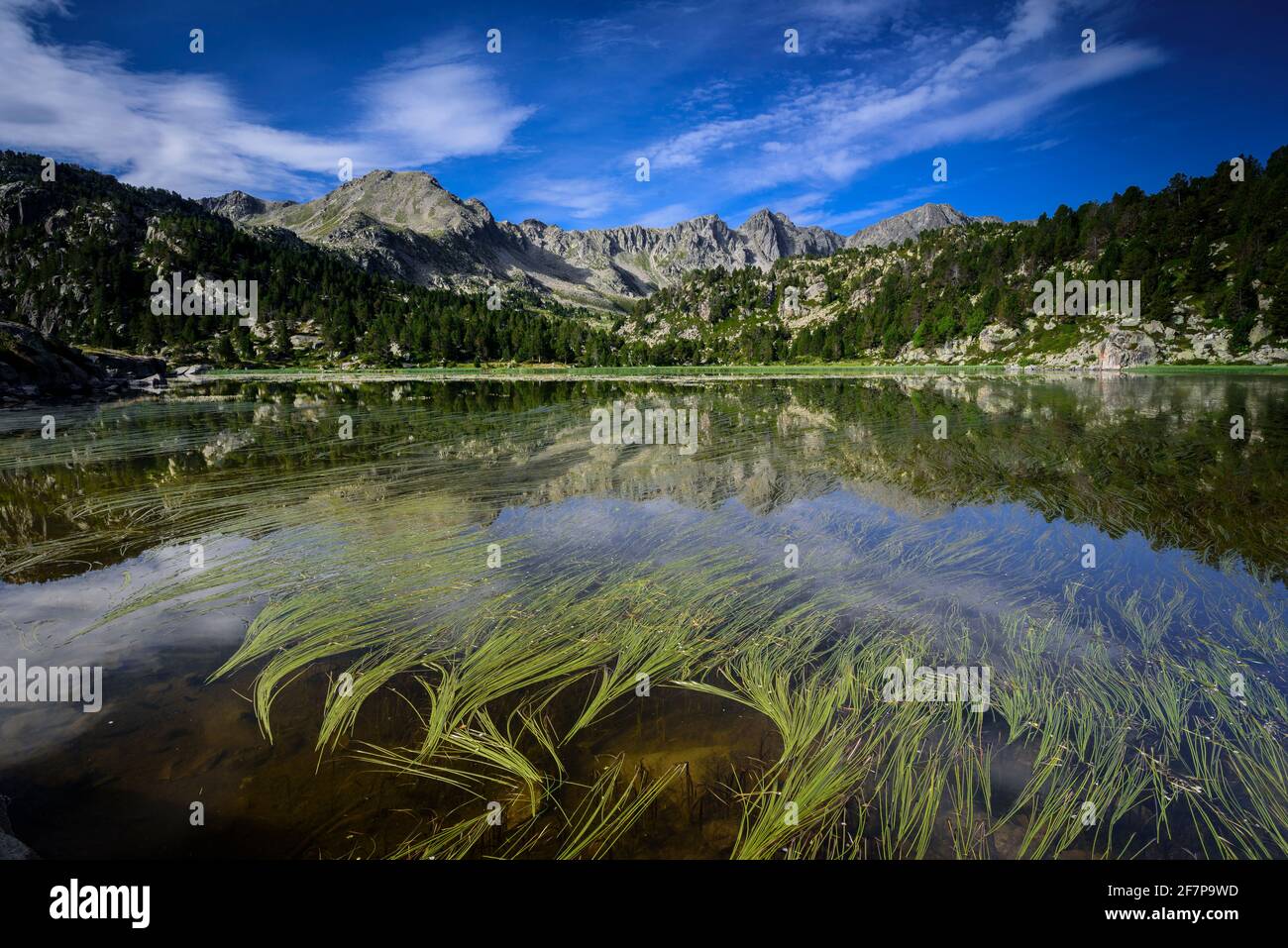 Estany Primer de Pessons lake in a summer morning (Pessons cirque ...