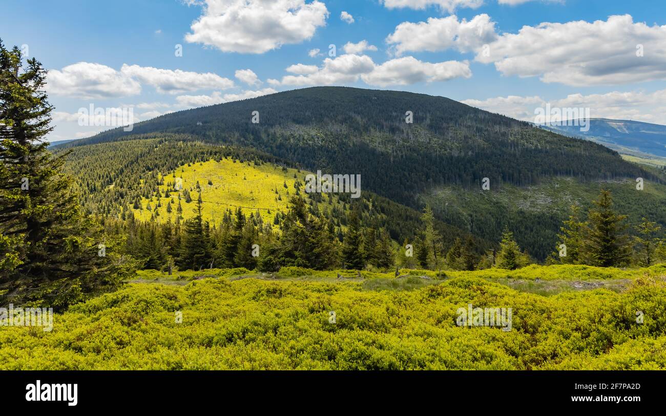 Panorama of Giant Mountains next to trail to Sniezka Stock Photo - Alamy