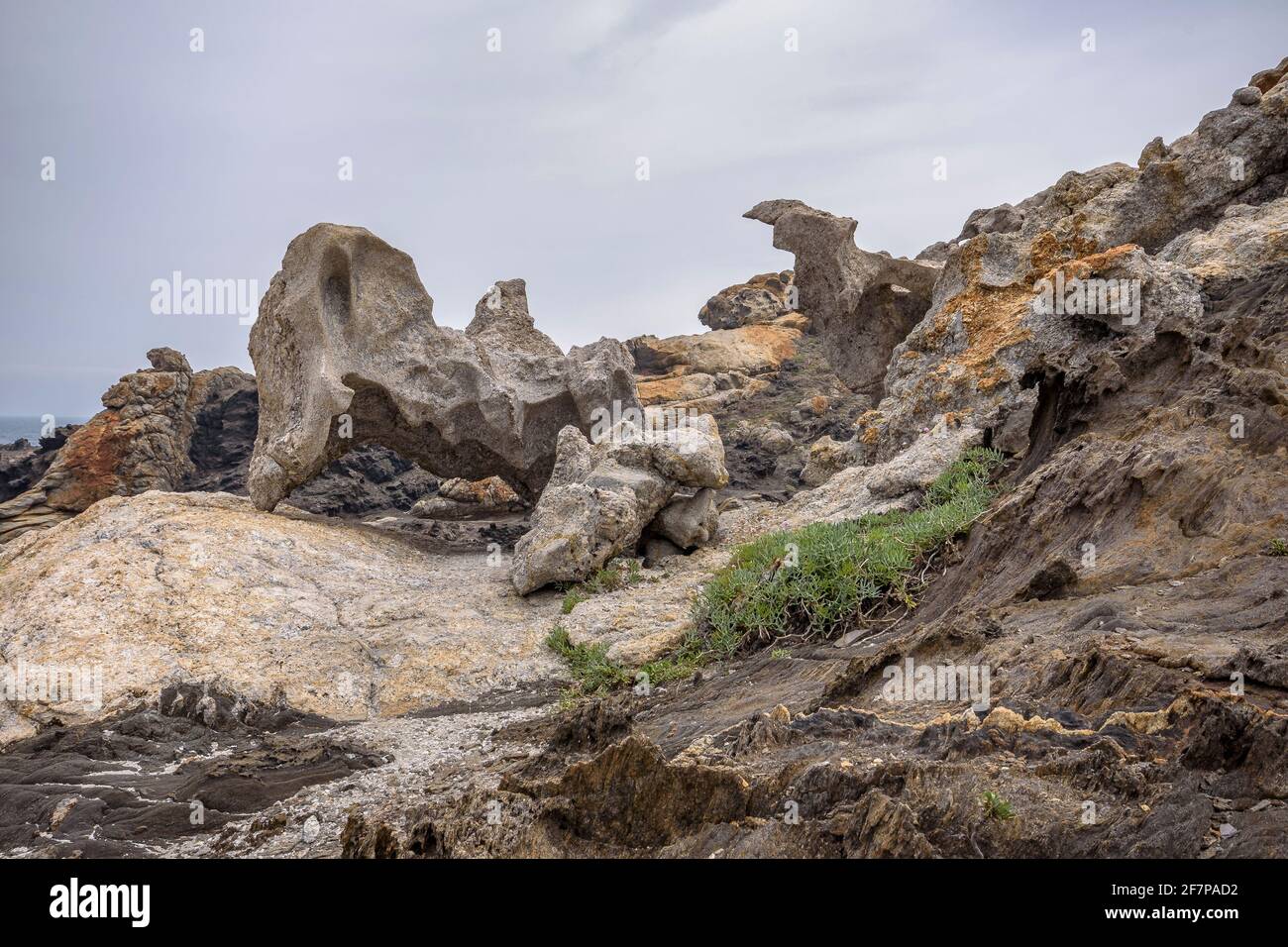 Rocks with original geological forms of Pla de Tudela, in Cap de Creus ...