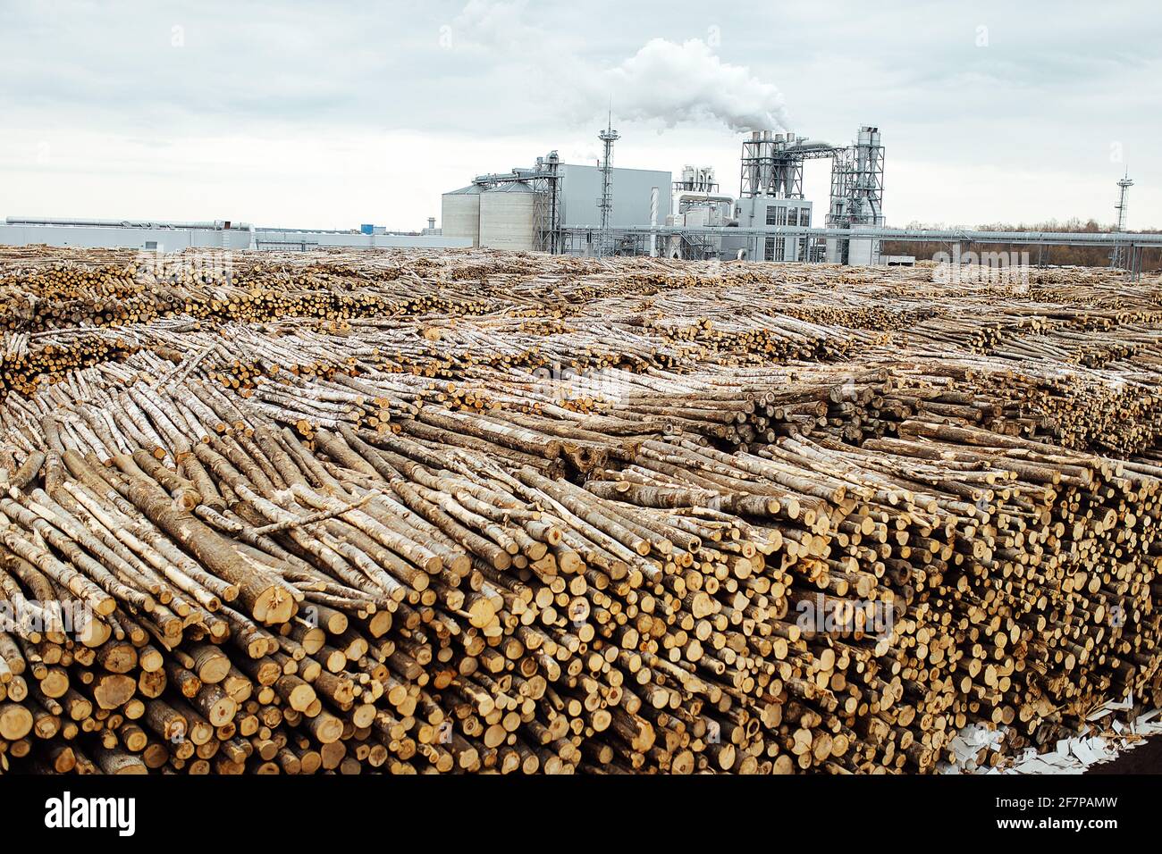 Wood factory mountain hi-res stock photography and images - Alamy