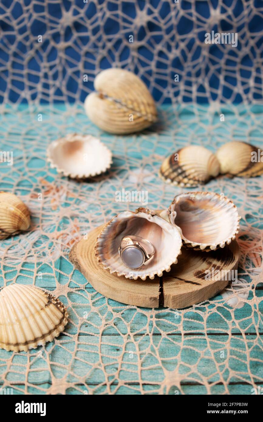 Sea shell concept Stock Photo - Alamy