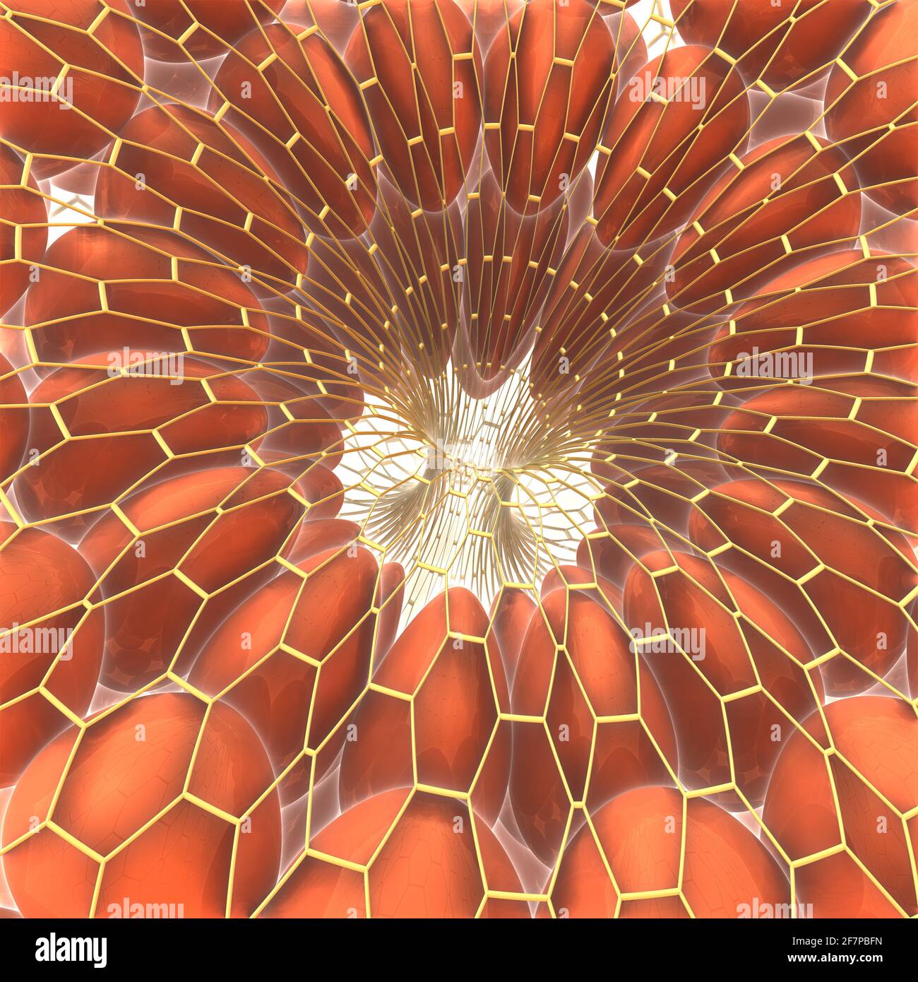 Picture of three-dimensional spaceship fractals in motion Stock Photo ...