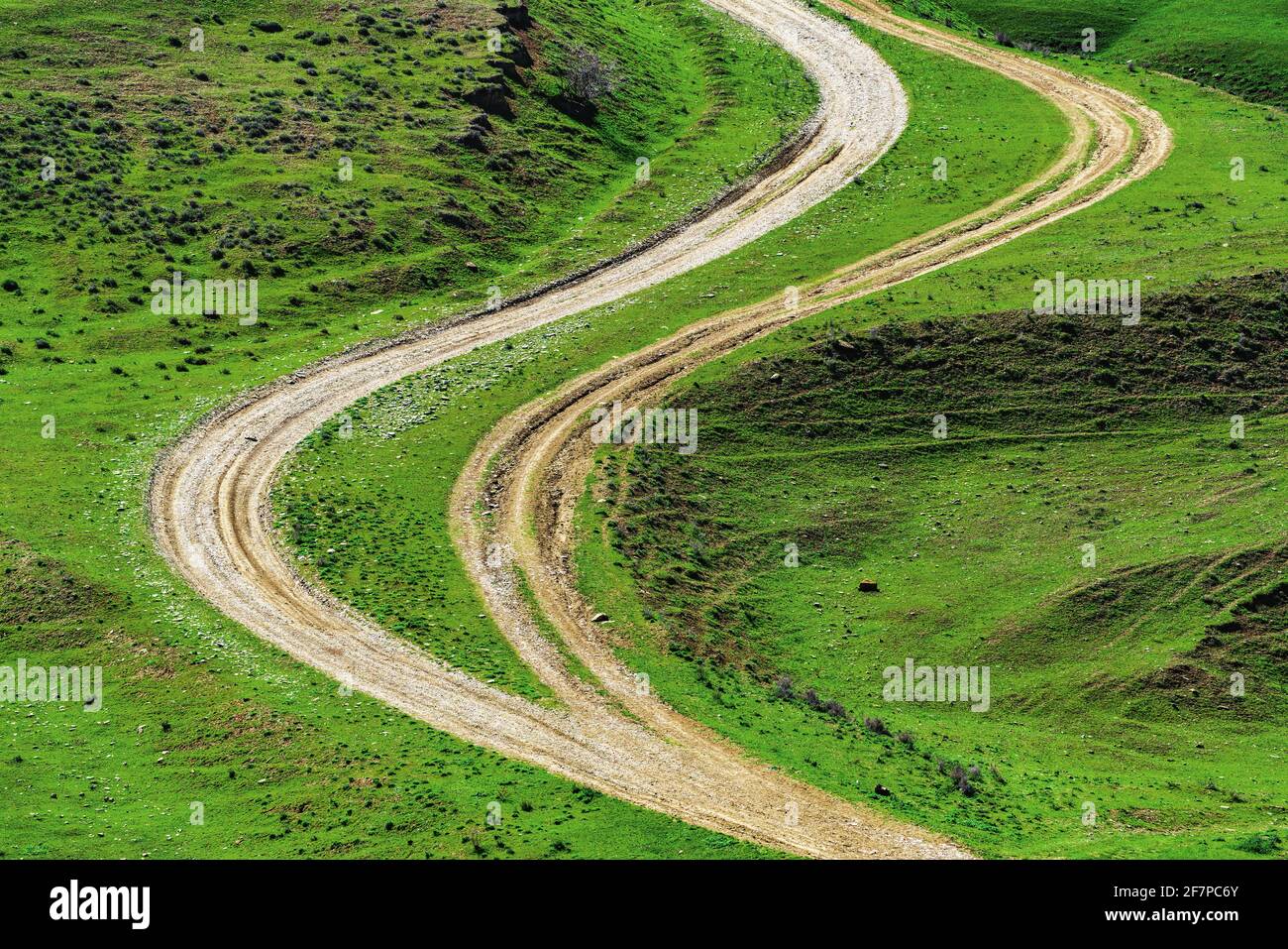 Winding dirt roads in a green field Stock Photo - Alamy