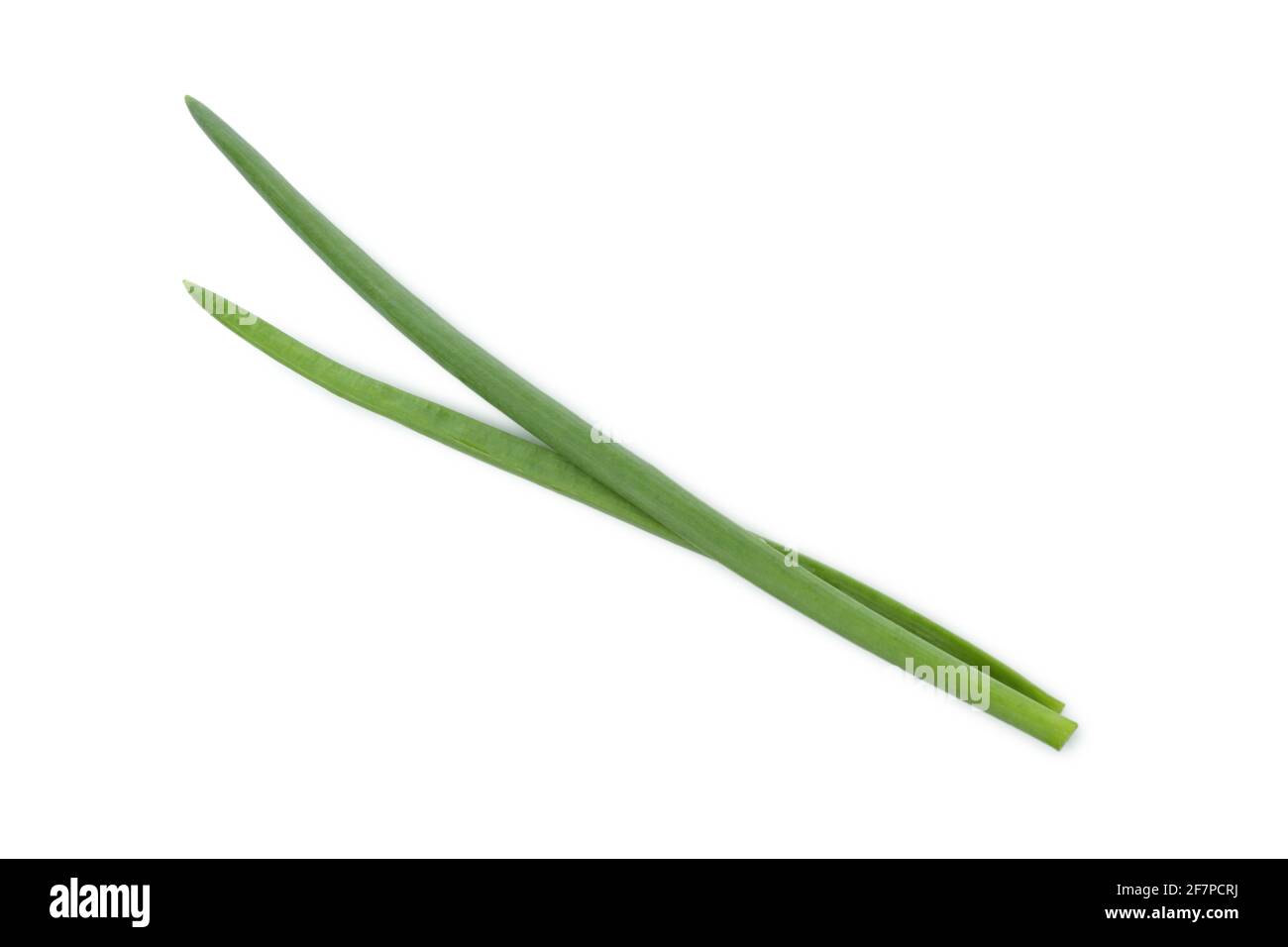 Fresh green onion isolated on white background Stock Photo - Alamy