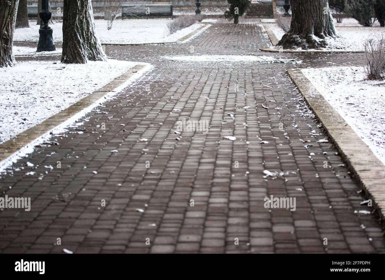 Texture of paving tiles on sidewalk close-up. A path in a city park ...