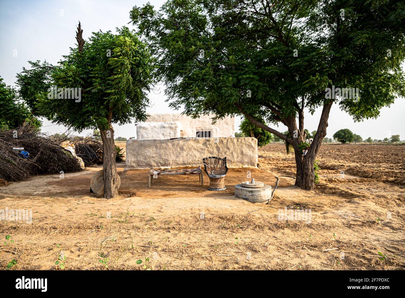 indian traditional kutchi mud house in rajasthan with tree and clear ...