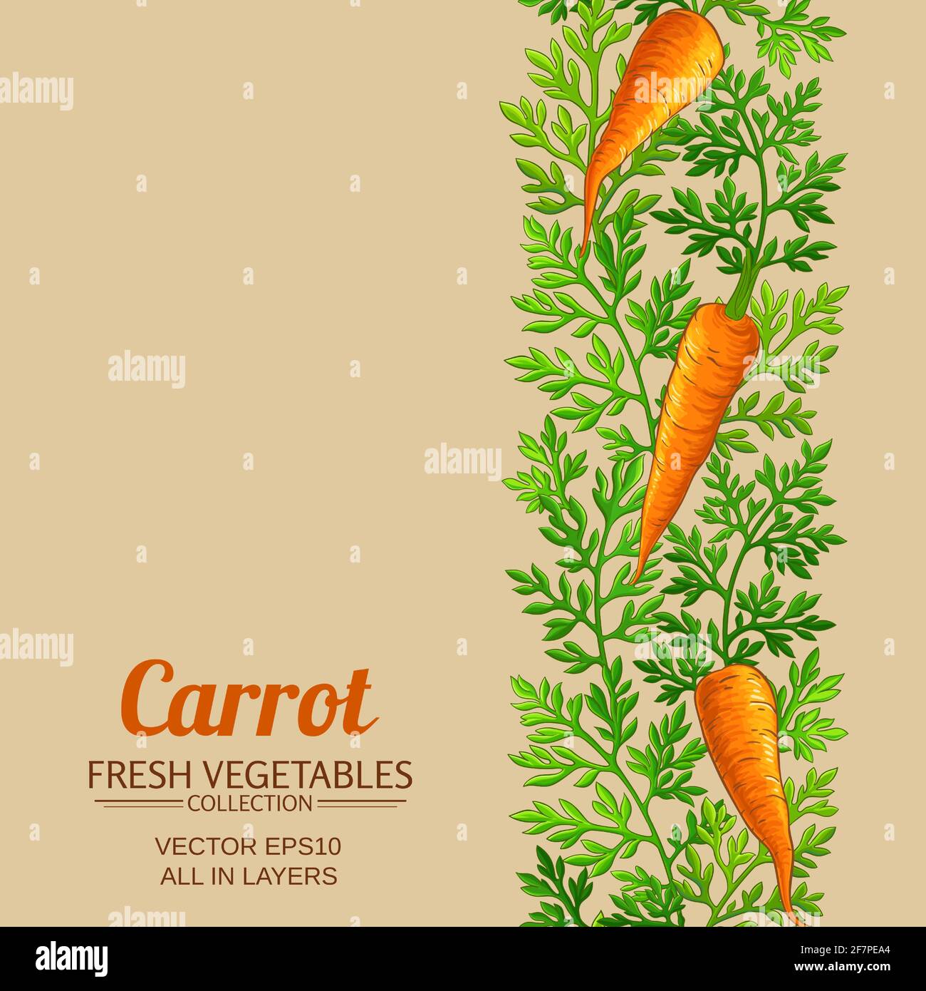 Carrot Stock Vector Images - Alamy