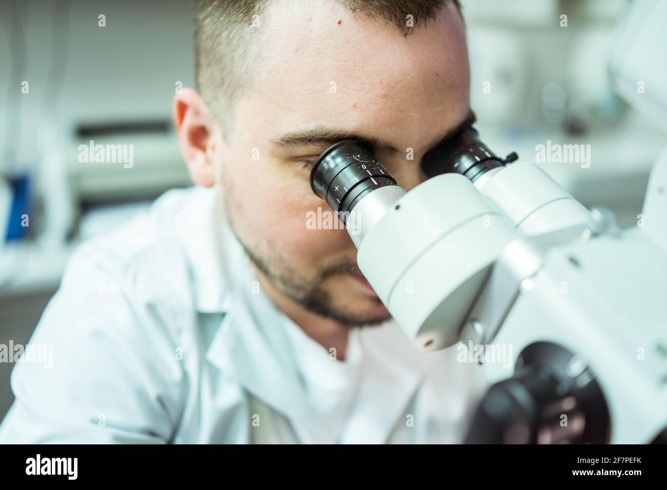 Doctor using a microscope hi-res stock photography and images - Alamy