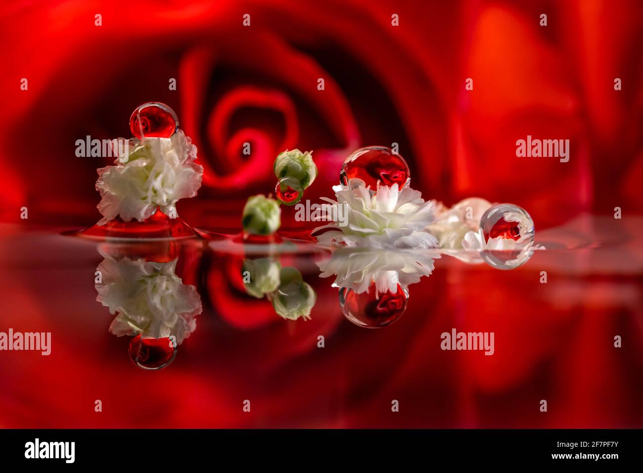 Reflection and refraction hi-res stock photography and images - Alamy