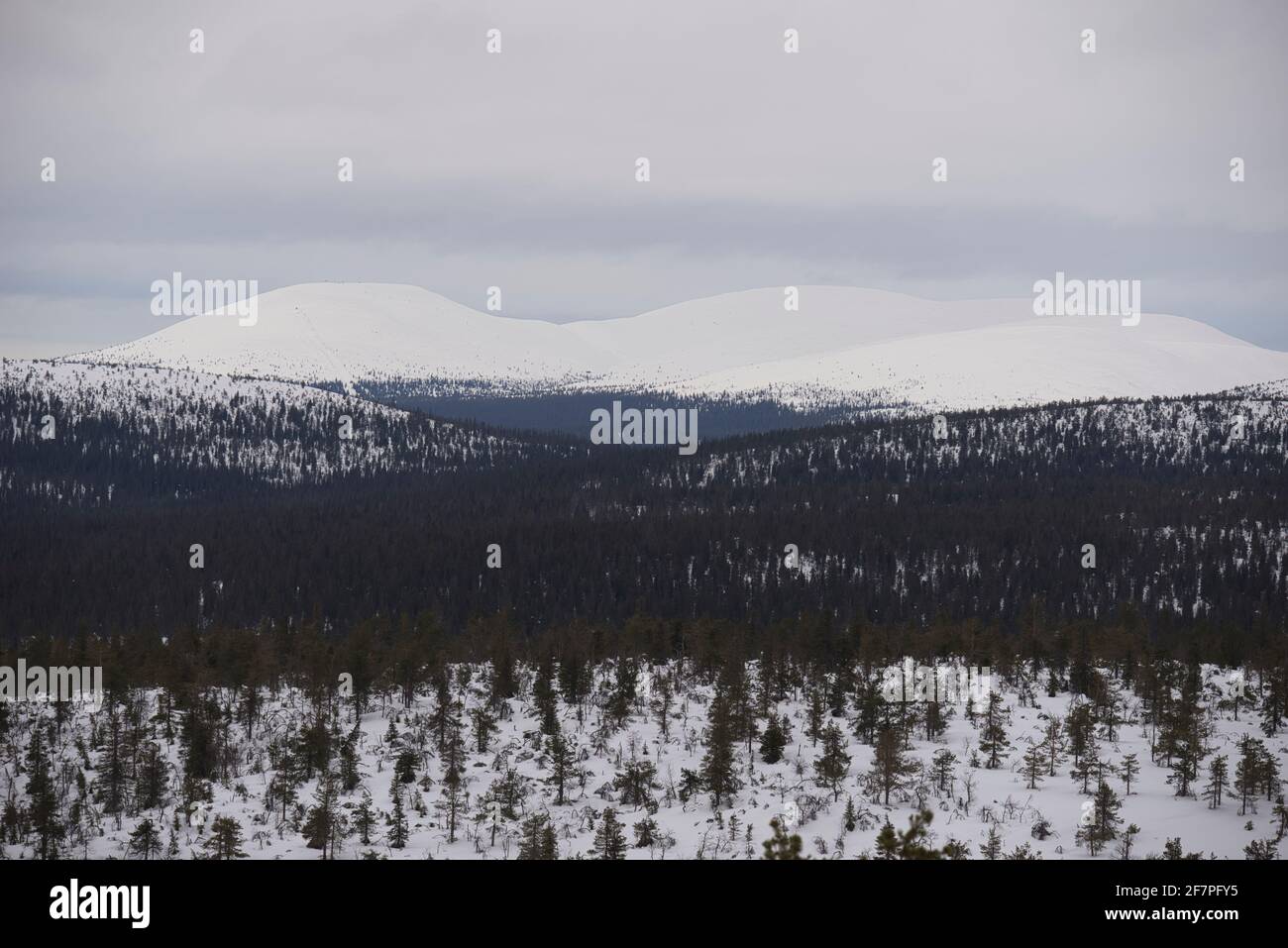 Pallas fells in spring time, Pallas-Yllästunturi National Park, Muonio ...